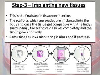Organ and tissue engineering,examples, | PPT
