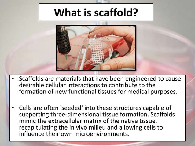 Organ and tissue engineering,examples, | PPT