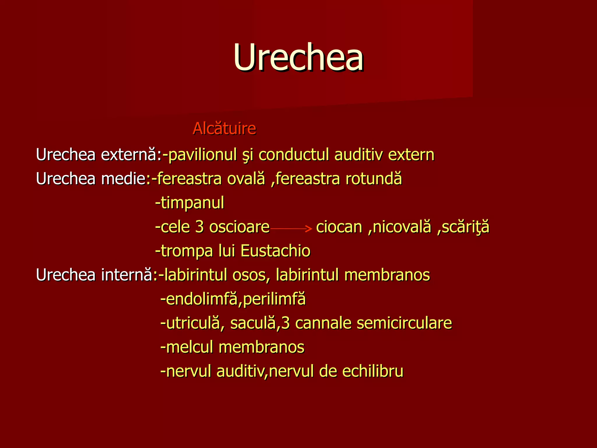 Organe De Simt | PPT