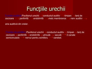 Organe De Simt | PPT