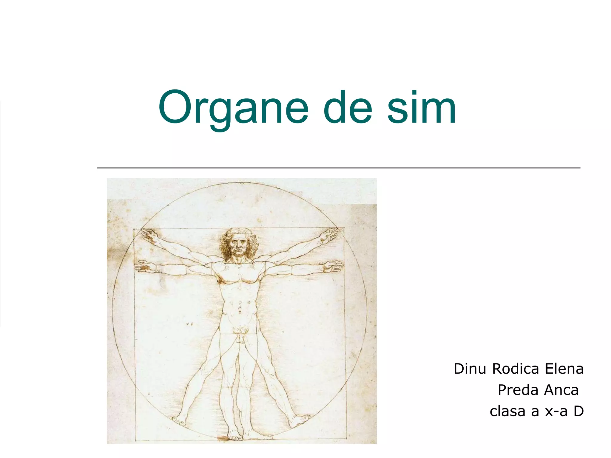 Organele de simt | PPT