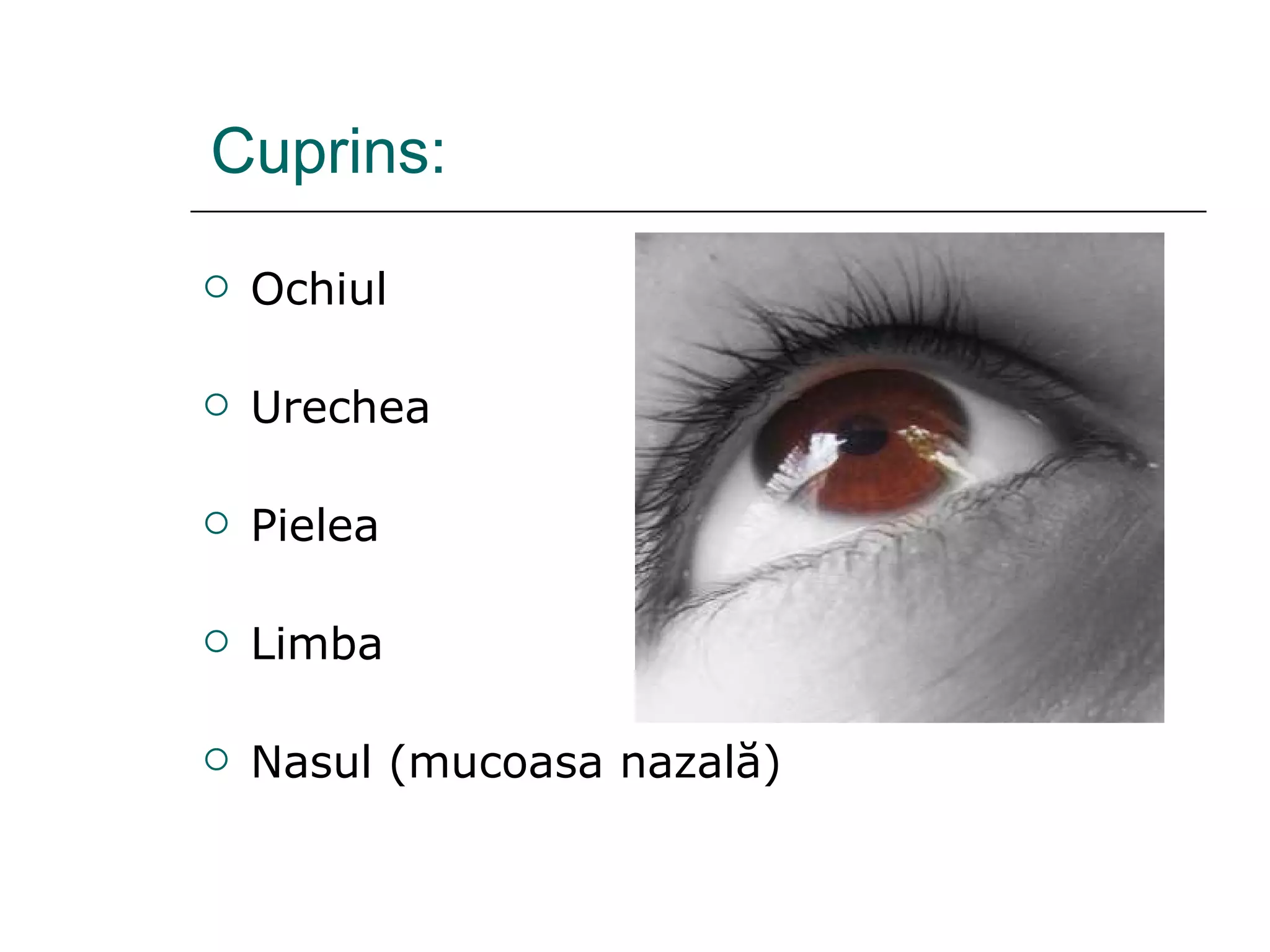 Organele de simt | PPT
