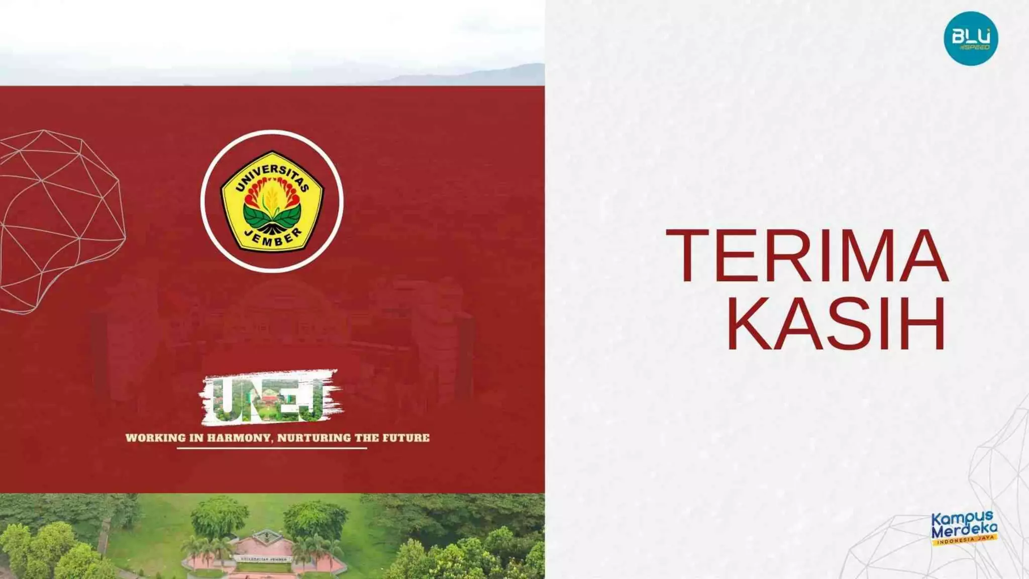 Organel Cell - Aditya.pptx | Biological Sciences | Science