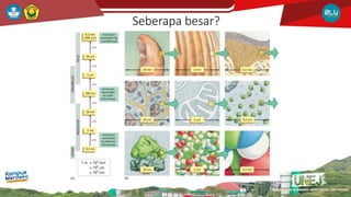 Organel Cell - Aditya.pptx