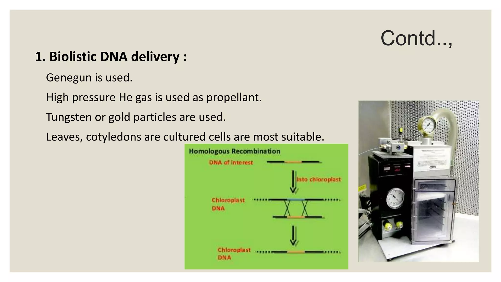 Organellar genome | PPTX | Biological Sciences | Science