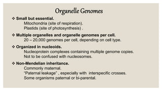 Organellar genome | PPTX