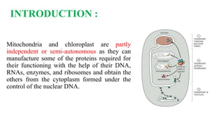 Organellar genome and its composition | PPTX
