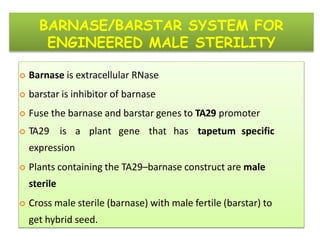 Organellar heterosis | PPTX