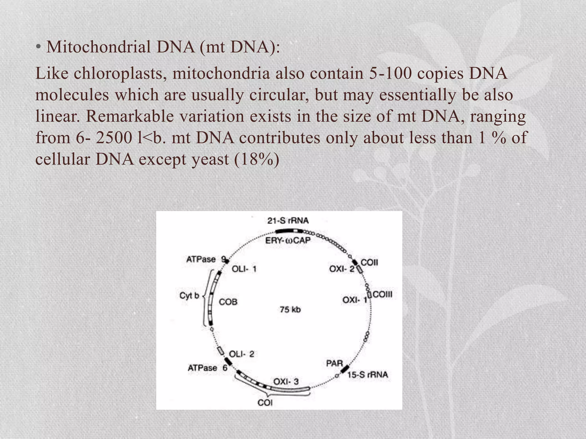 Organelle genome | PPTX