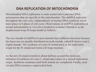 Organelle genome | PPT