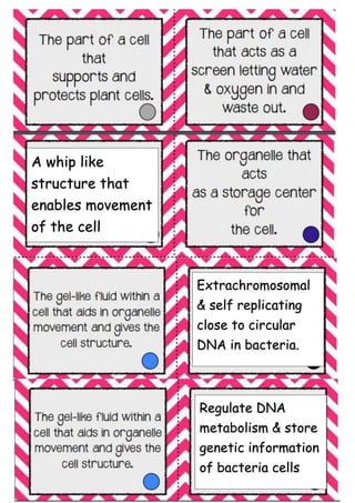 Organelle Matching Cards for igcse coordinated siences | PDF