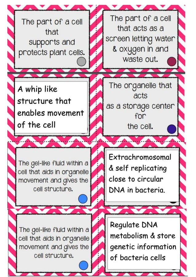 Organelle Matching Cards for igcse coordinated siences | DOCX