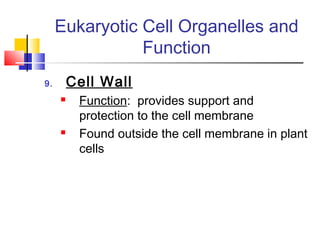 Different Cell Parts | PPT