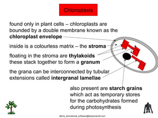 Organelles | PPT