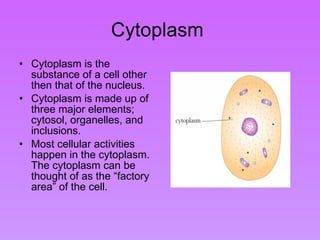Organelles and cytoplasm pp | PPT