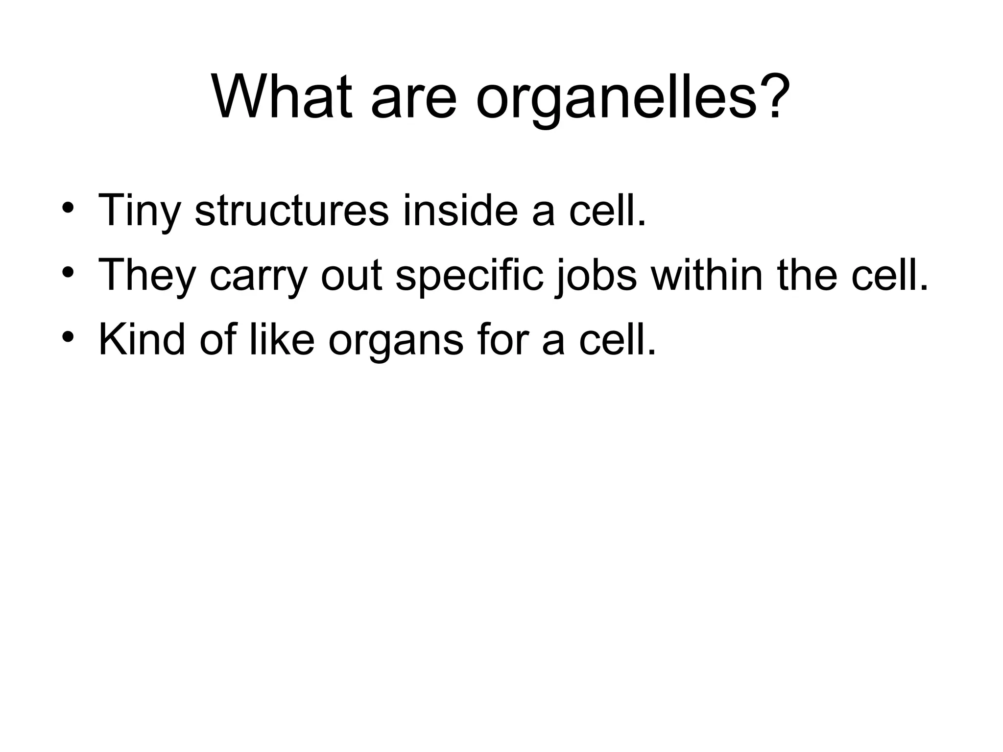 Organelles in an Animal Cell | PPT