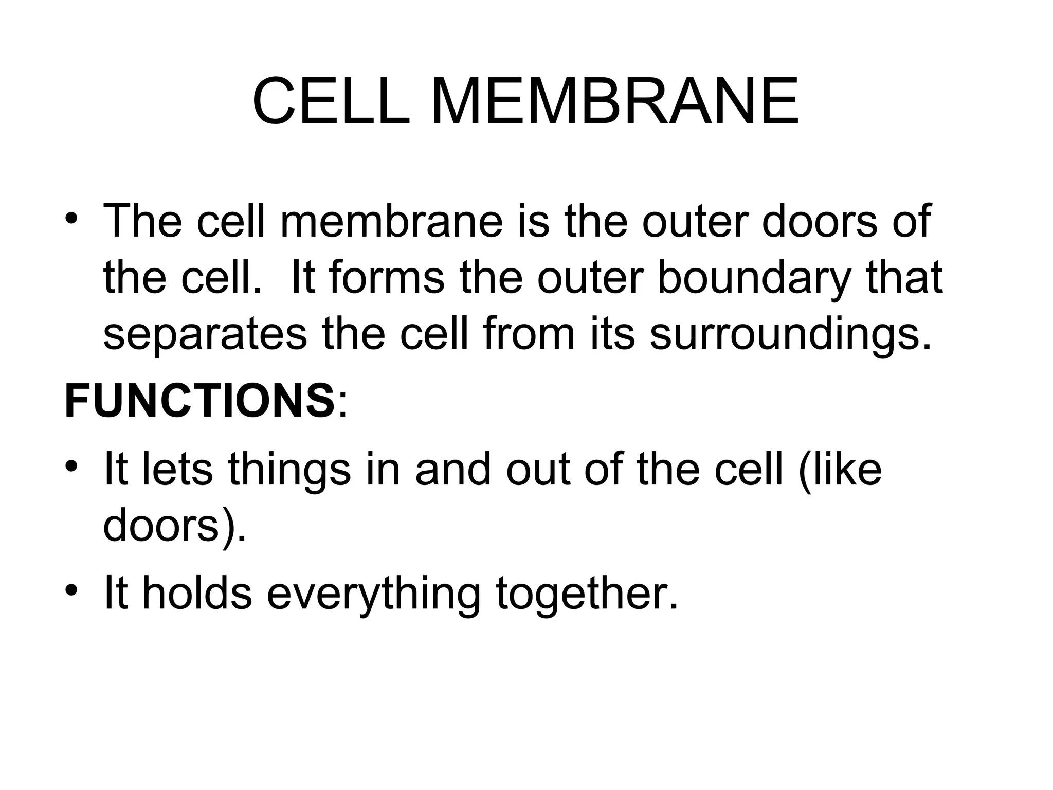 Organelles in an Animal Cell | PPT