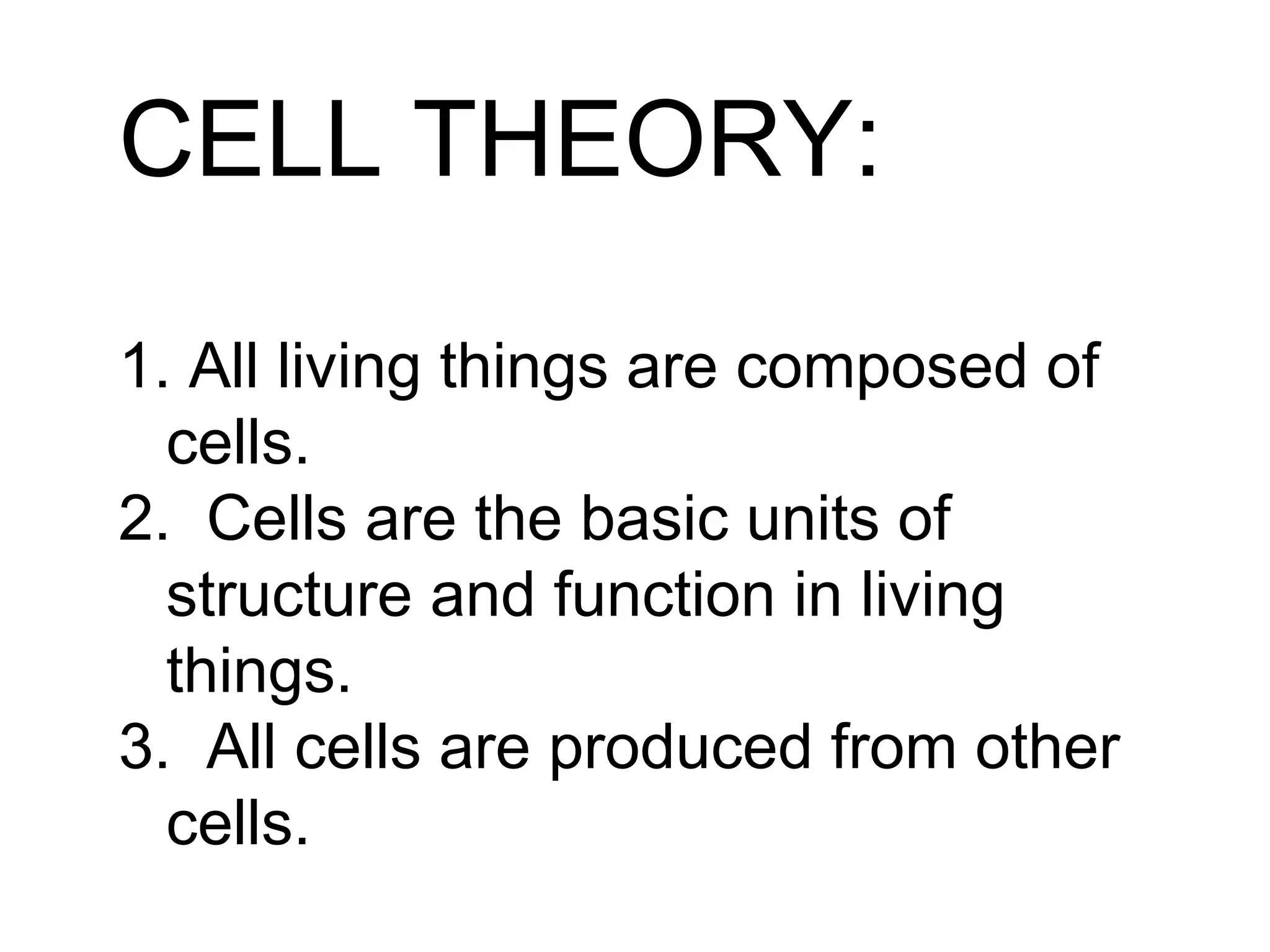 Organelles in an Animal Cell | PPT