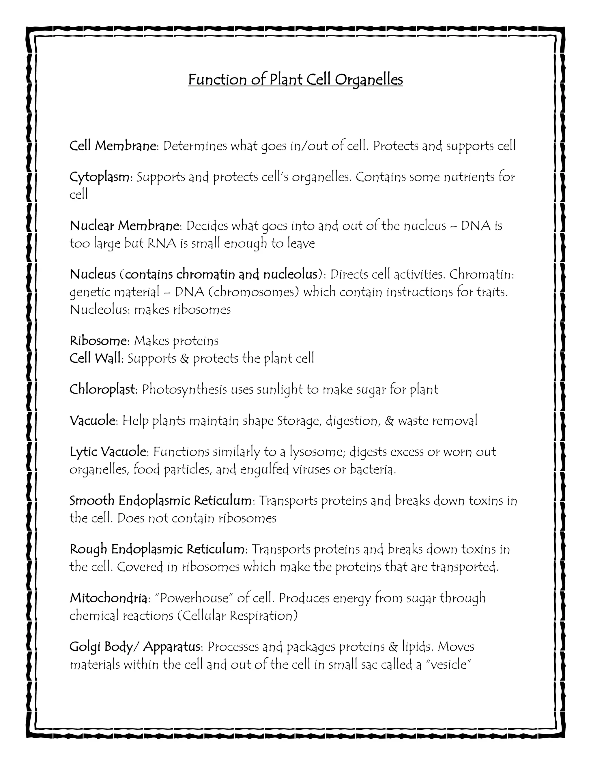 Organelles of the Plant Cell - INB Notes.pdf