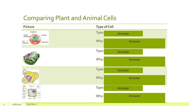 Organelle studyguide | PPT