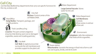Organelle studyguide | PPT