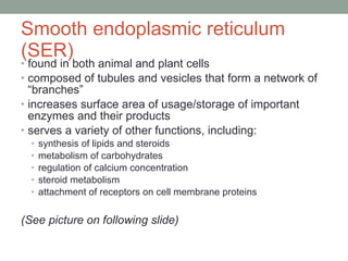 Organelles Tutorial | PPT