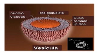 Transporte vesicular | PPTX