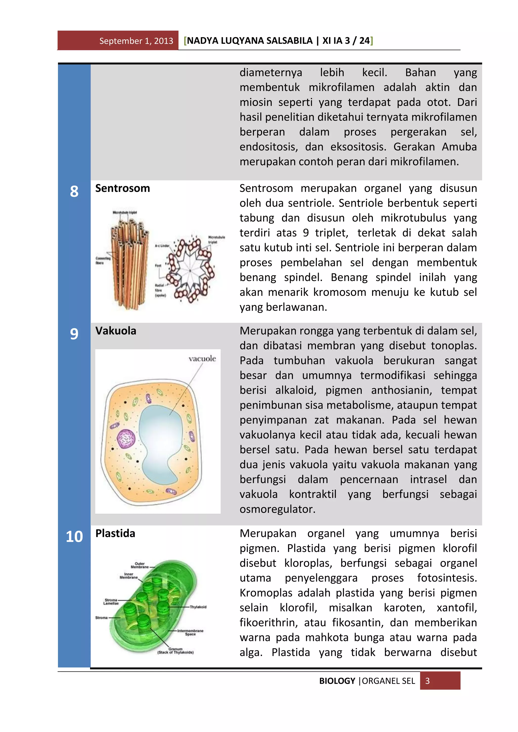 Organel Sel | DOCX
