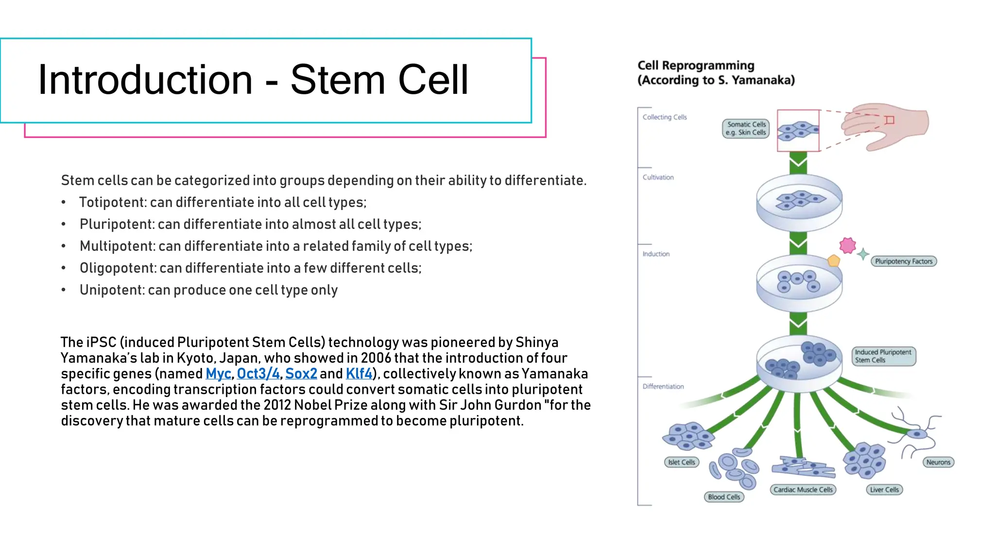 organ engineering.pptx
