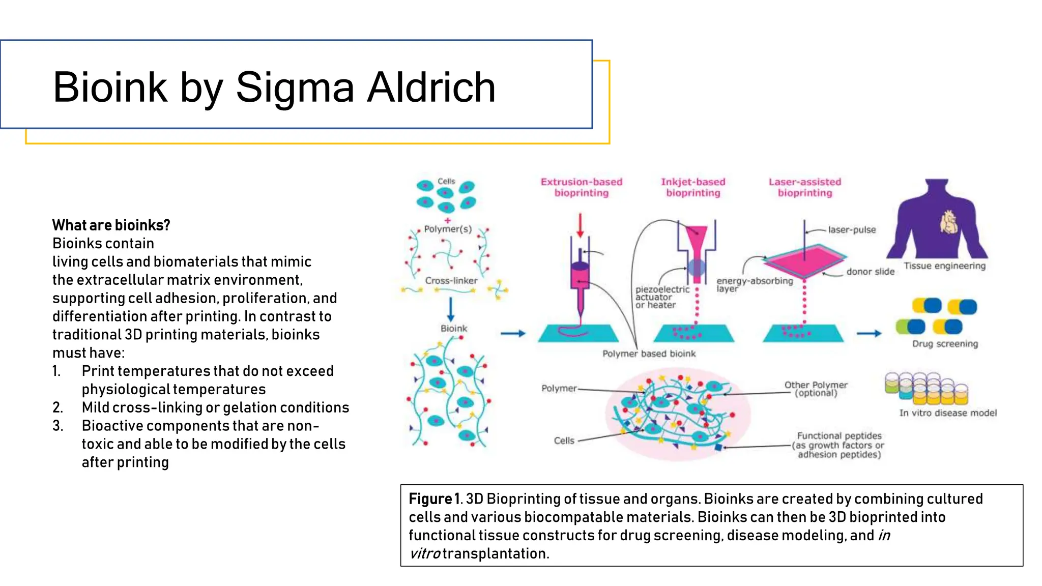 organ engineering.pptx