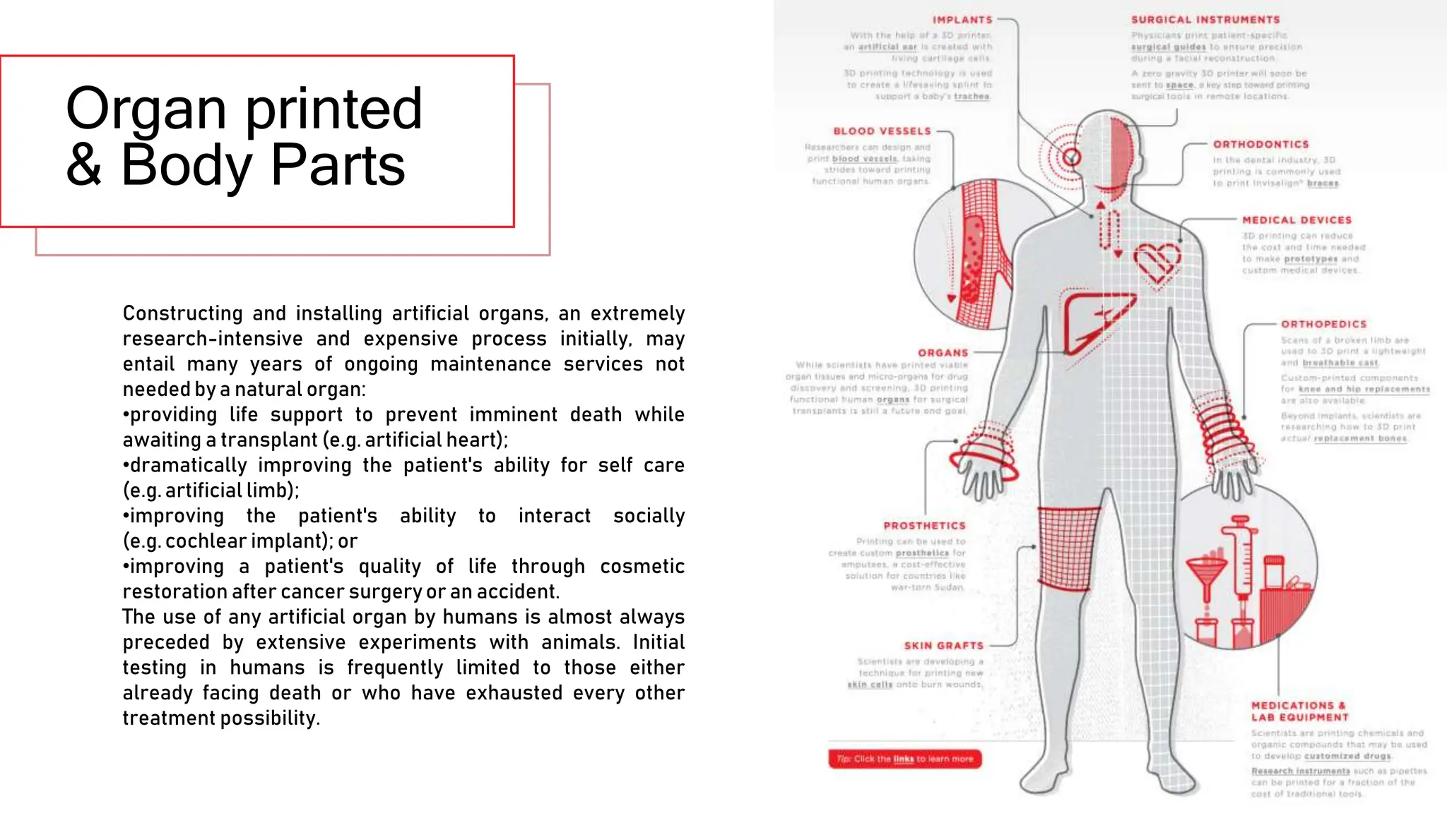 organ engineering.pptx