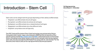 organ engineering.pptx