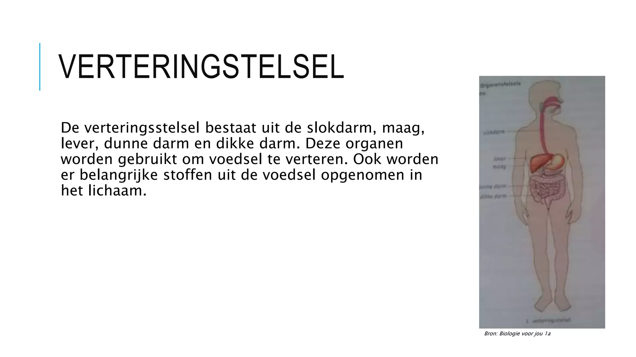 Organenstelsels | PPTX