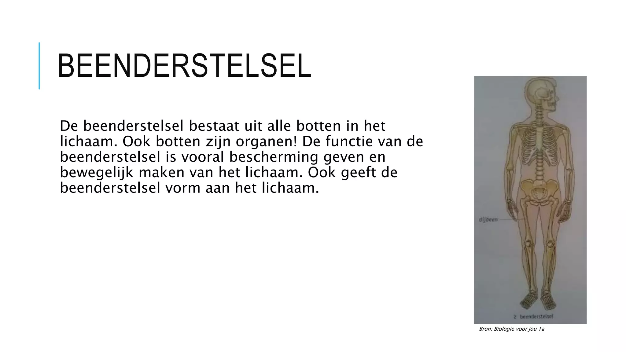 Organenstelsels | PPTX