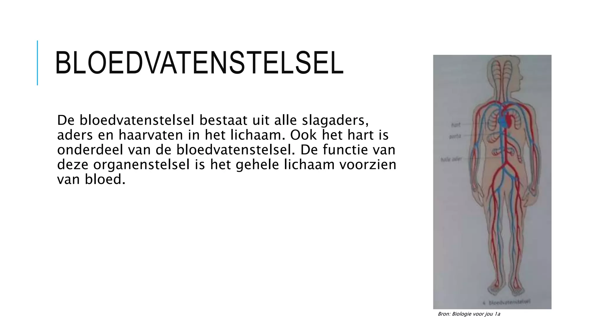 Organenstelsels | PPTX