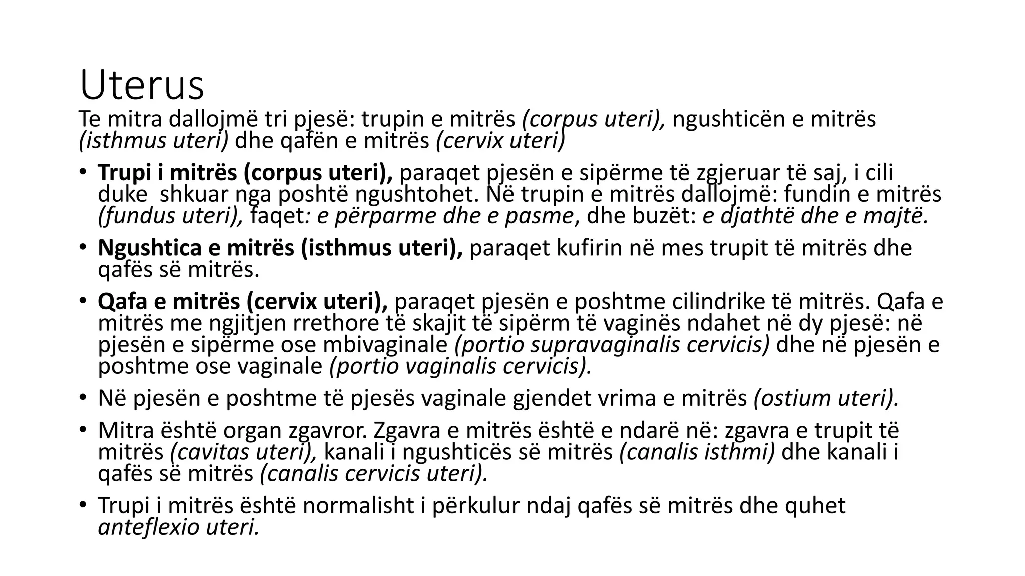 Organet Genitale powerpoint presentation anatomy lesson.pptx