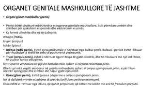 Organet Genitale powerpoint presentation anatomy lesson.pptx