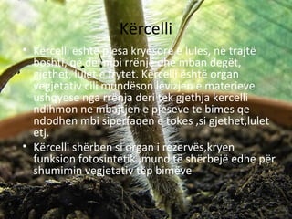 Organet vegjetative 2017 | PPT