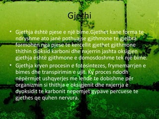 Organet vegjetative 2017 | PPT