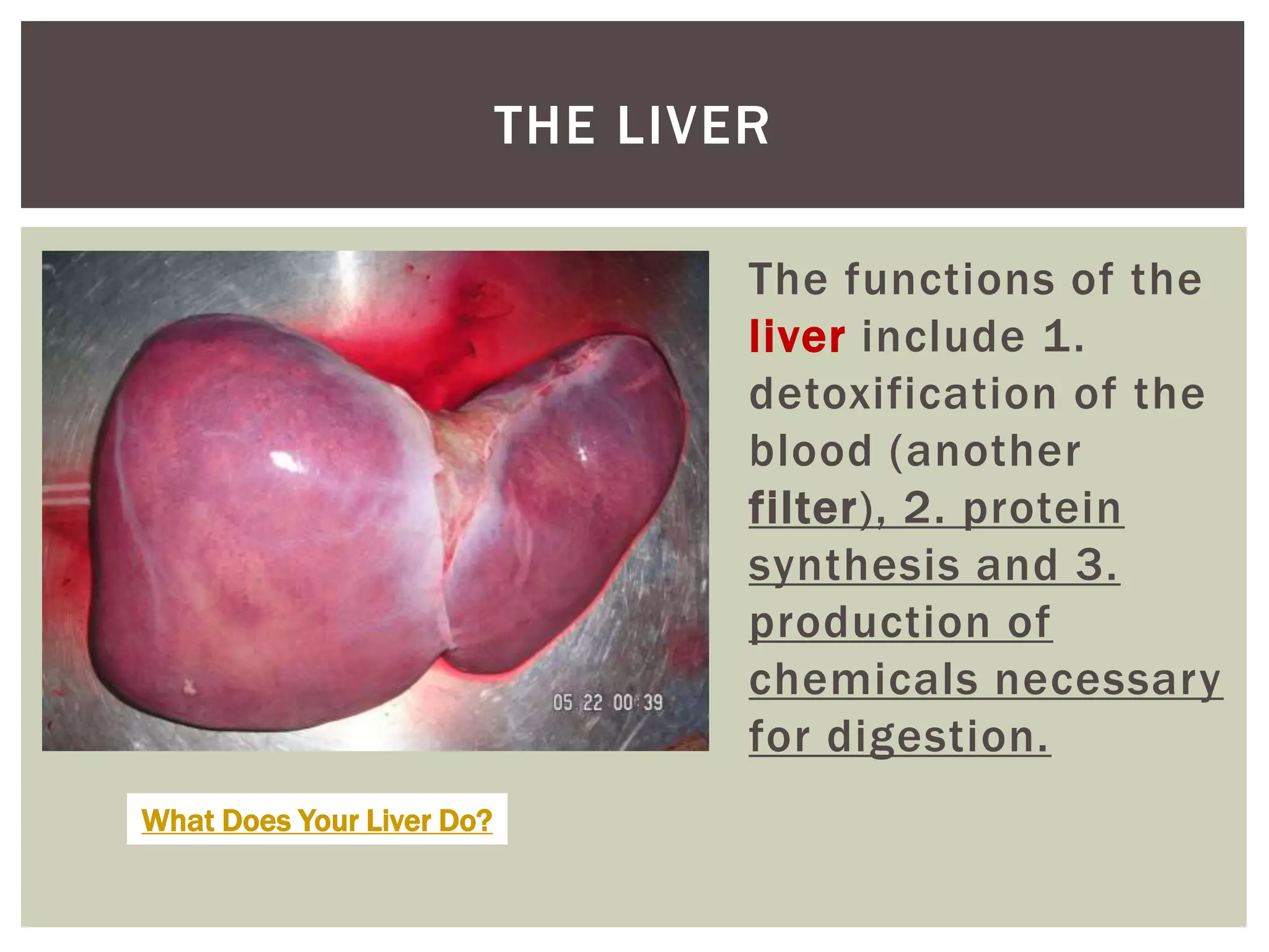 Basic Organ function | PPT