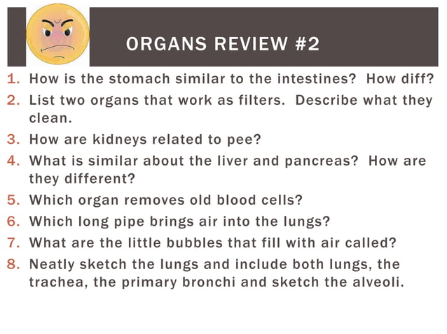 Basic Organ function | PPT