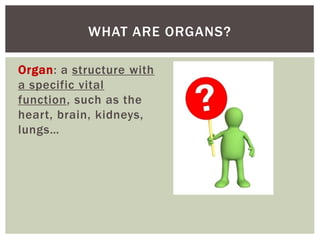 Basic Organ function | PPT