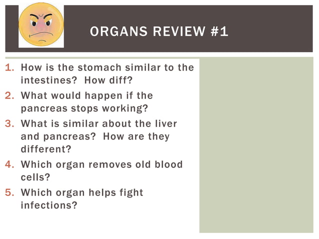Basic Organ function | PPT