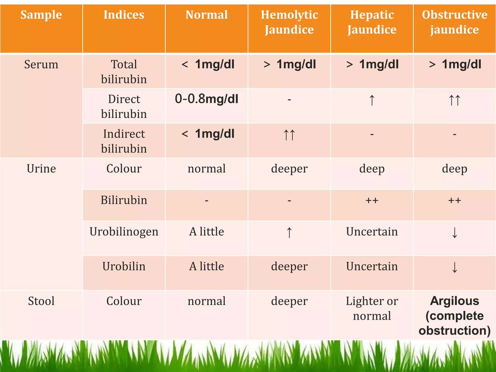 Organ function tests | PPTX