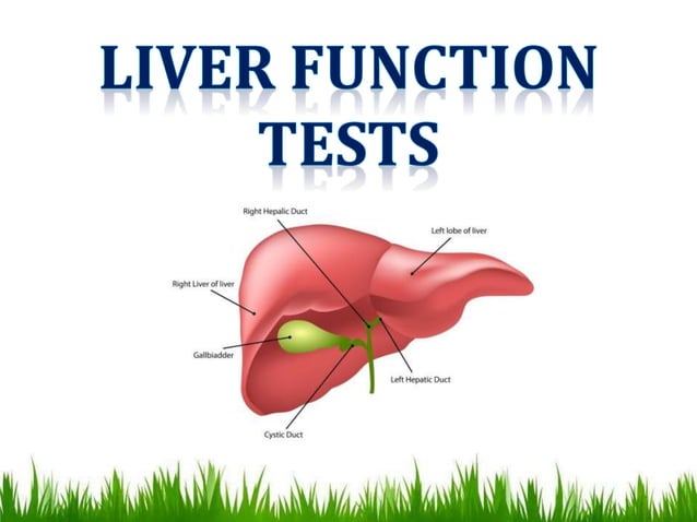 Organ function tests | PPTX