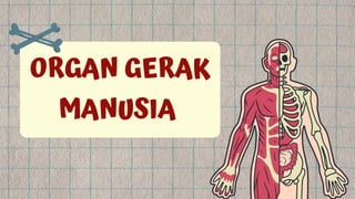 Organ Gerak Manusia (Bergerak, Yuk! Memahami Cara Kerja Tubuh Kita) | PDF