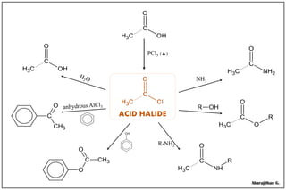 Organic Reactions | PDF