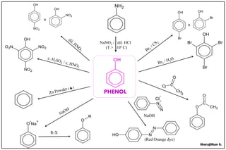 Organic Reactions | PDF | Chemistry | Science