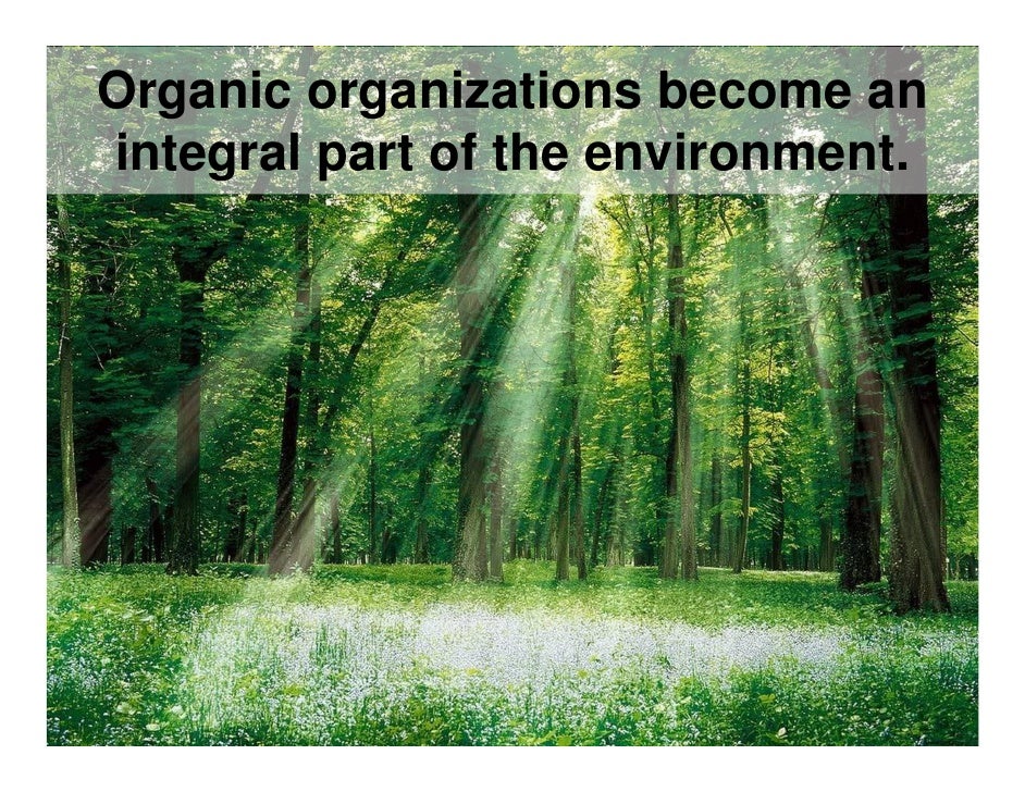 Organic Models of Organizational Design