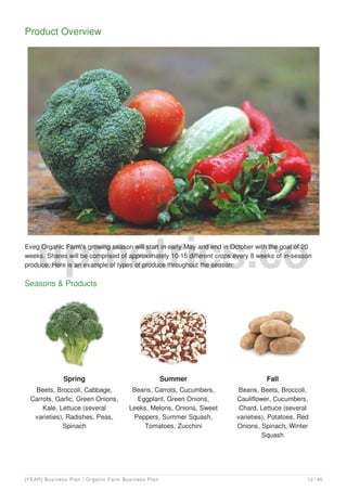 Organic farm business plan example | PDF